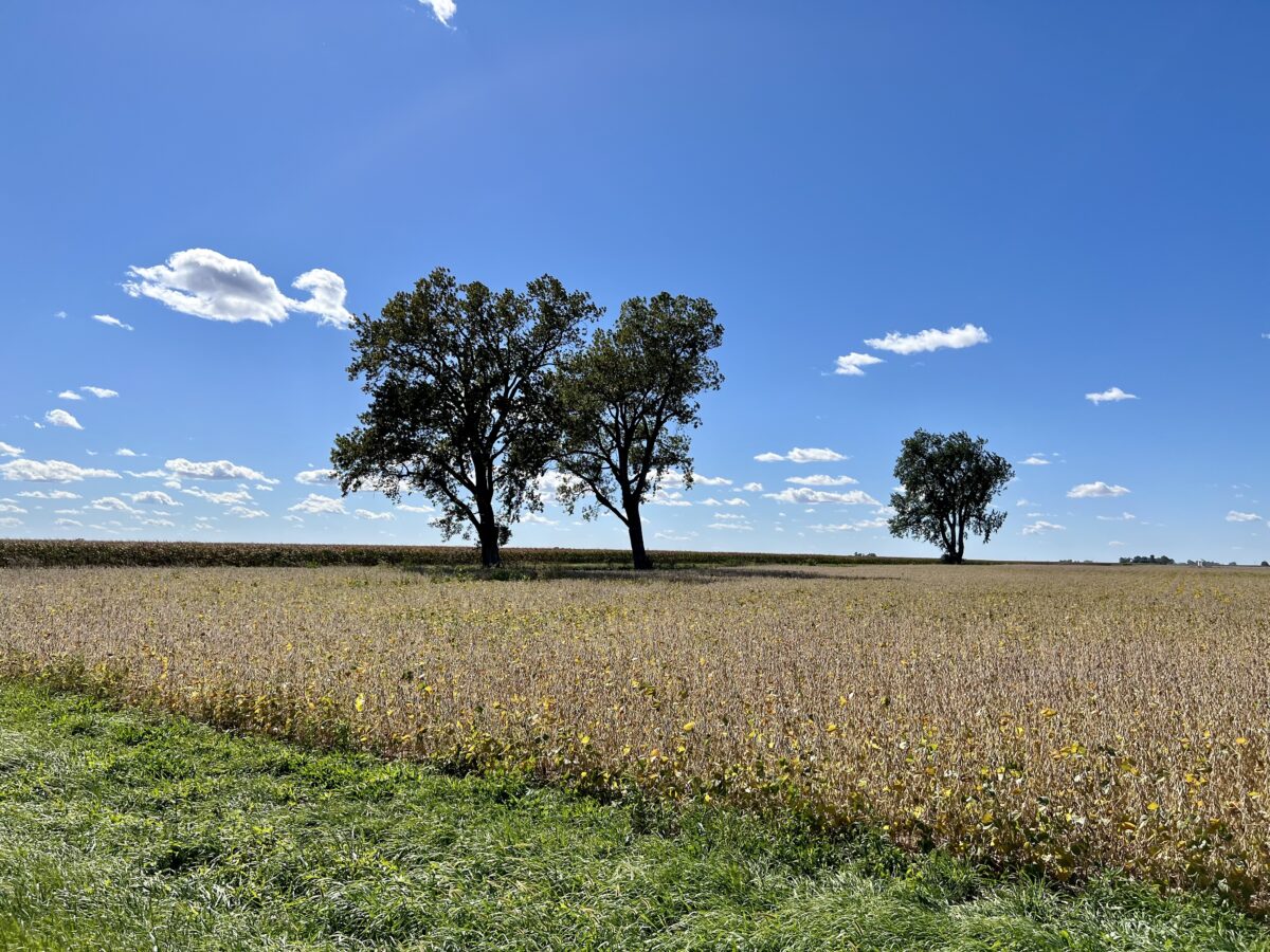Buffalo, IN. – Cycling