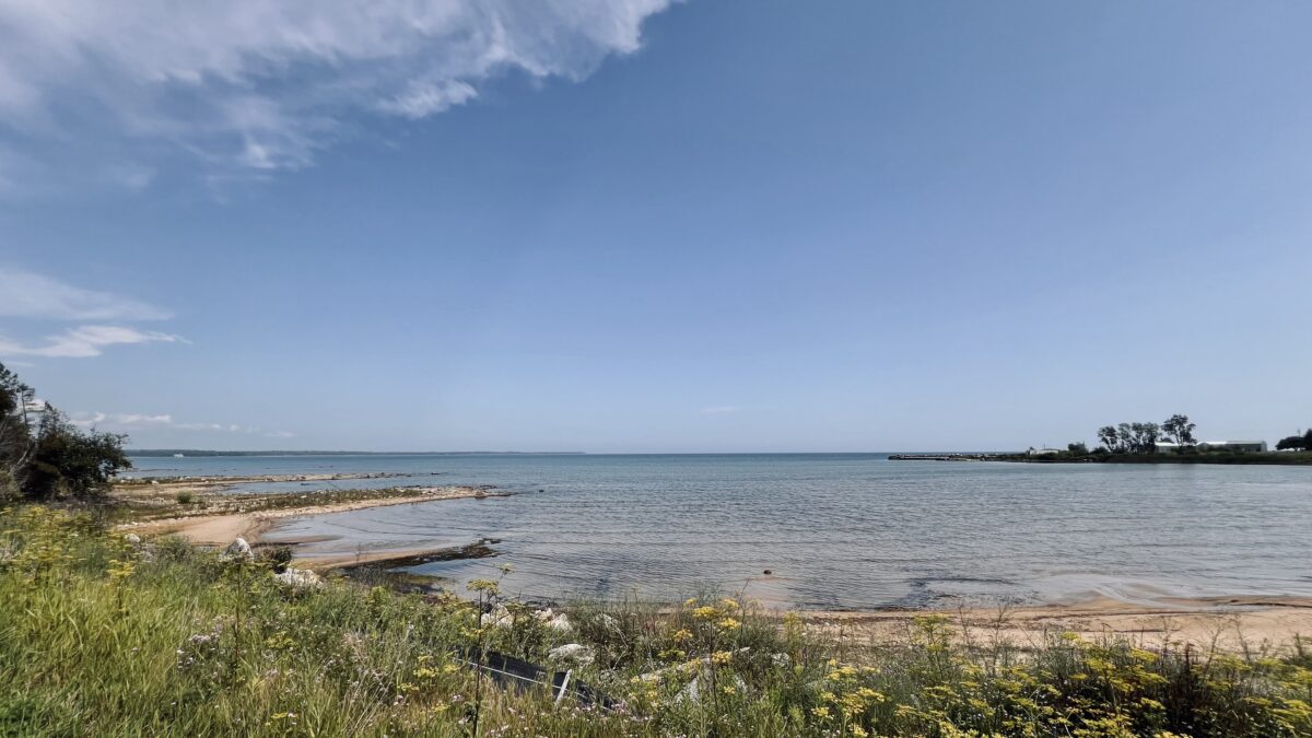 Hog Island Point State Forest Campground – Cycling